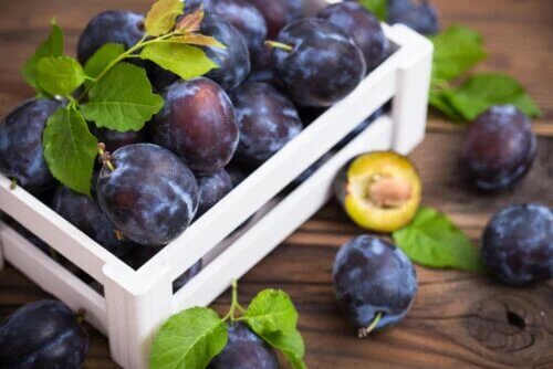 Types et variétés de prunes - Améliore ta Santé