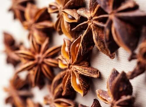 Anis et santé de l'estomac : comment sont-ils liés